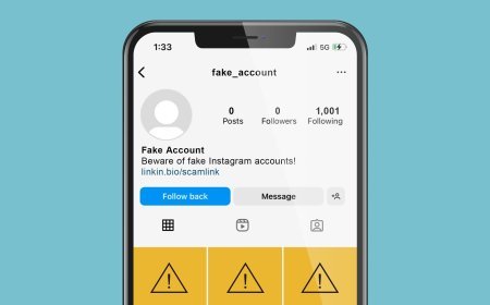 Fake Instagram Accounts Created In Collector’s Name